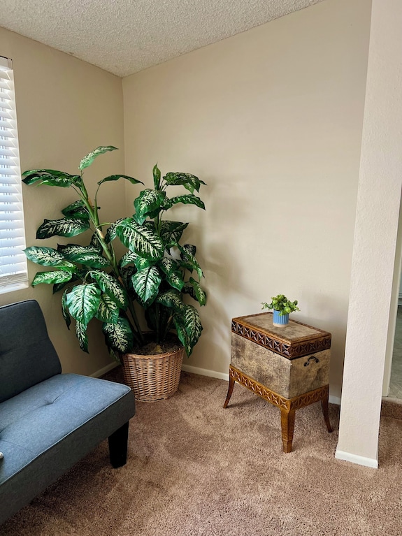 Very Lucky Pool Home, Is A Very Cozy Guesthouse Close To Soboba And Idyllwild. - 헤멧