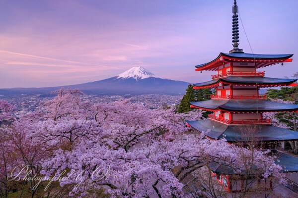 Inn The Fuji - Japan