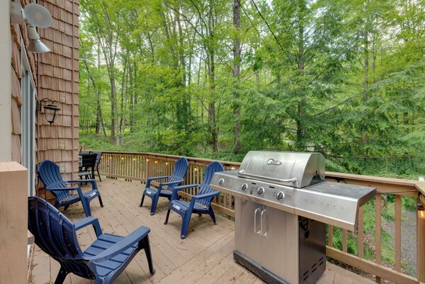 Game Room + Lake Access: Albrightsville Escape - Lehigh Gorge State Park, Jim Thorpe