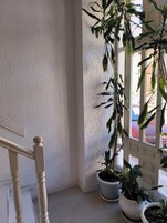 Canto de um quarto com parede branca texturizada, corrimão de madeira e plantas em vasos perto de uma janela.