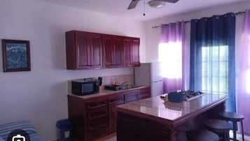 Apartamento, vista para o mar | Cozinha privada | Um frigorífico, um micro-ondas, uma placa de cozinha