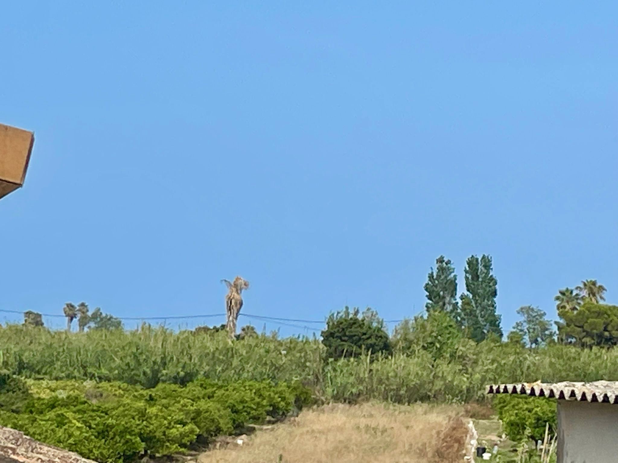 Paisagem rural com céu claro, vegetação densa e um pequeno edifício com telhado de telhas.