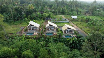 Três bangalôs modernos com piscinas, cercados por vegetação tropical exuberante.