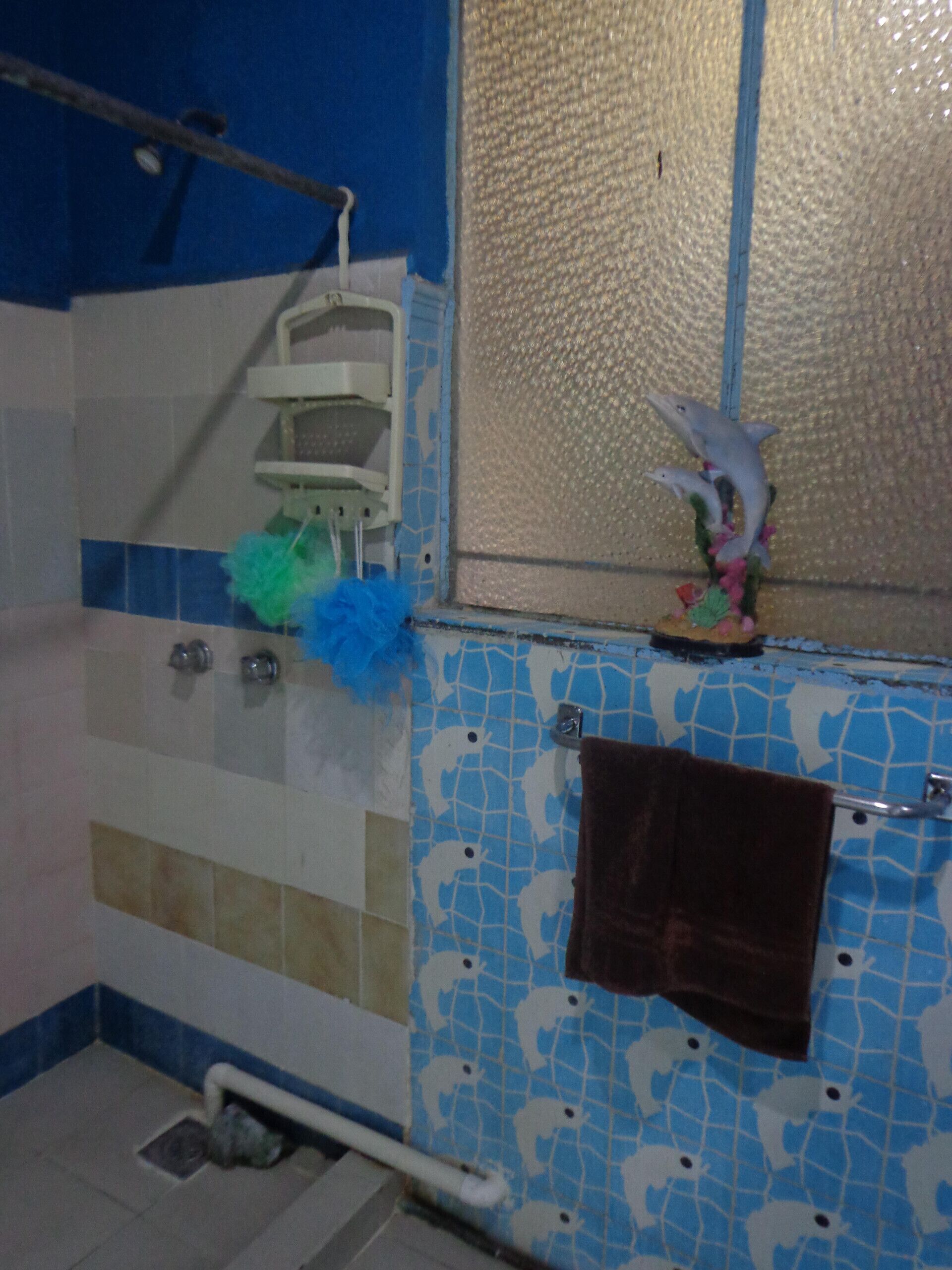 Casa de banho com parede em azulejo azul e branco, área de chuveiro, porta-toalhas e uma estátua decorativa de golfinho.