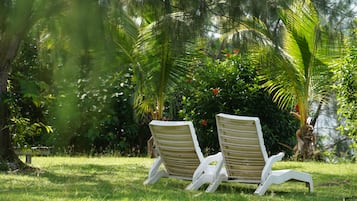 Jardim