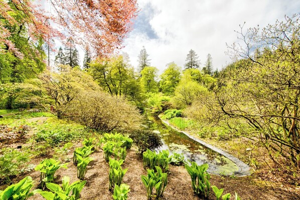 Área da propriedade