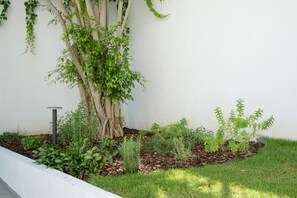 Apartamento | 1 quarto
