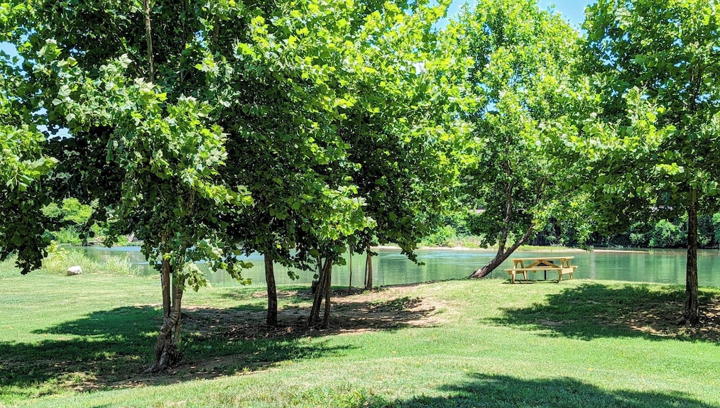 Primitive Riverside Camping With Picnic Table, From, And Pet Friendly - Arkansas