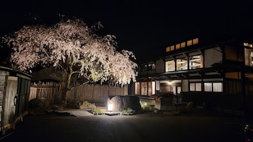 Um edifício japonês tradicional com uma grande cerejeira em frente.