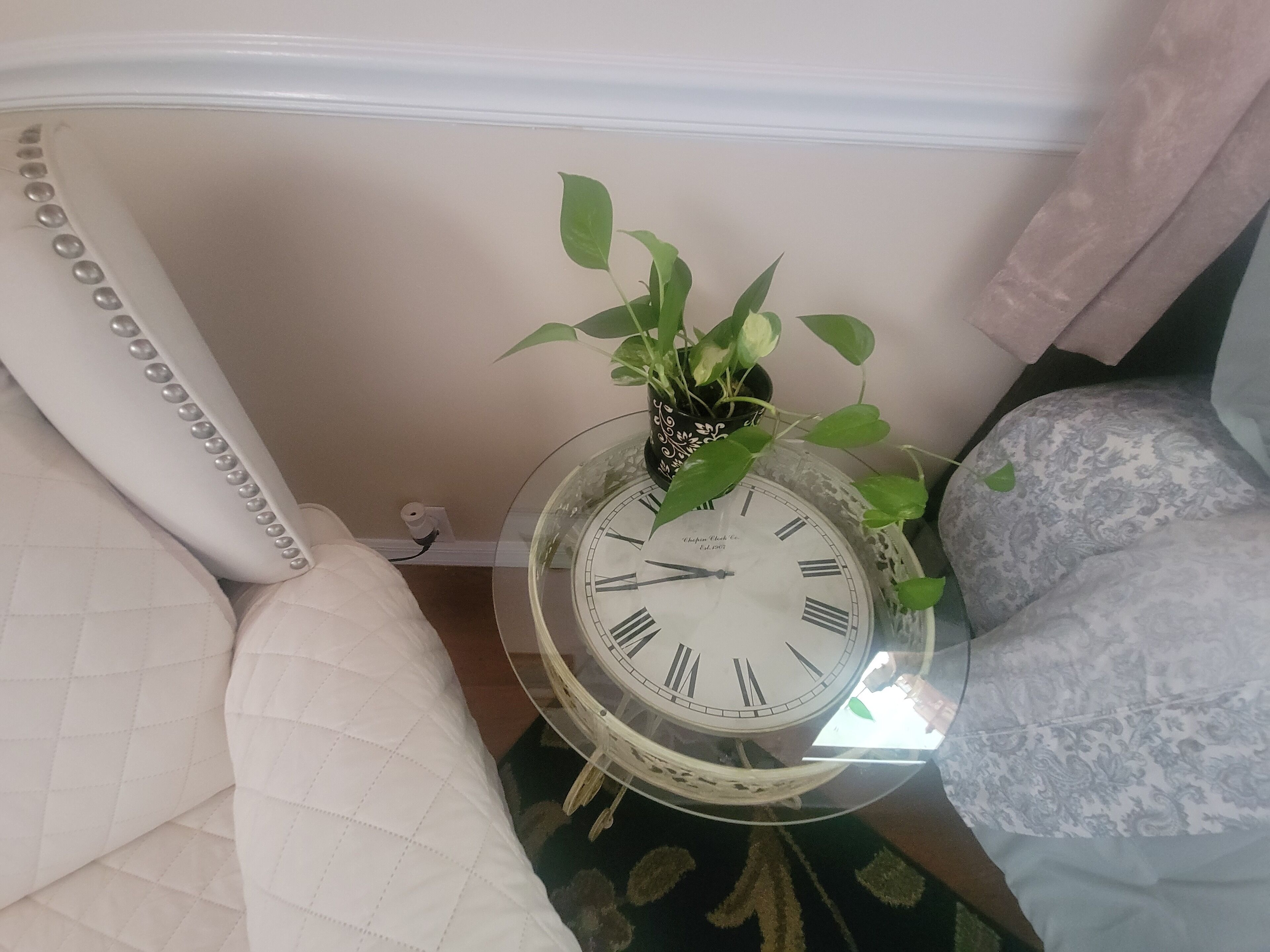 Private Garden Efficiency In Downtown Ocala. Close To Silver Springs. - Ocala, FL