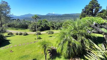 Jardim