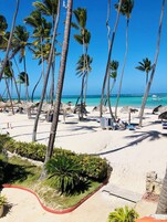 Uma praia com palmeiras, espreguiçadeiras e um céu azul límpido.
