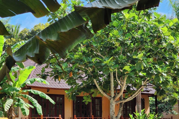 Piscina exterior