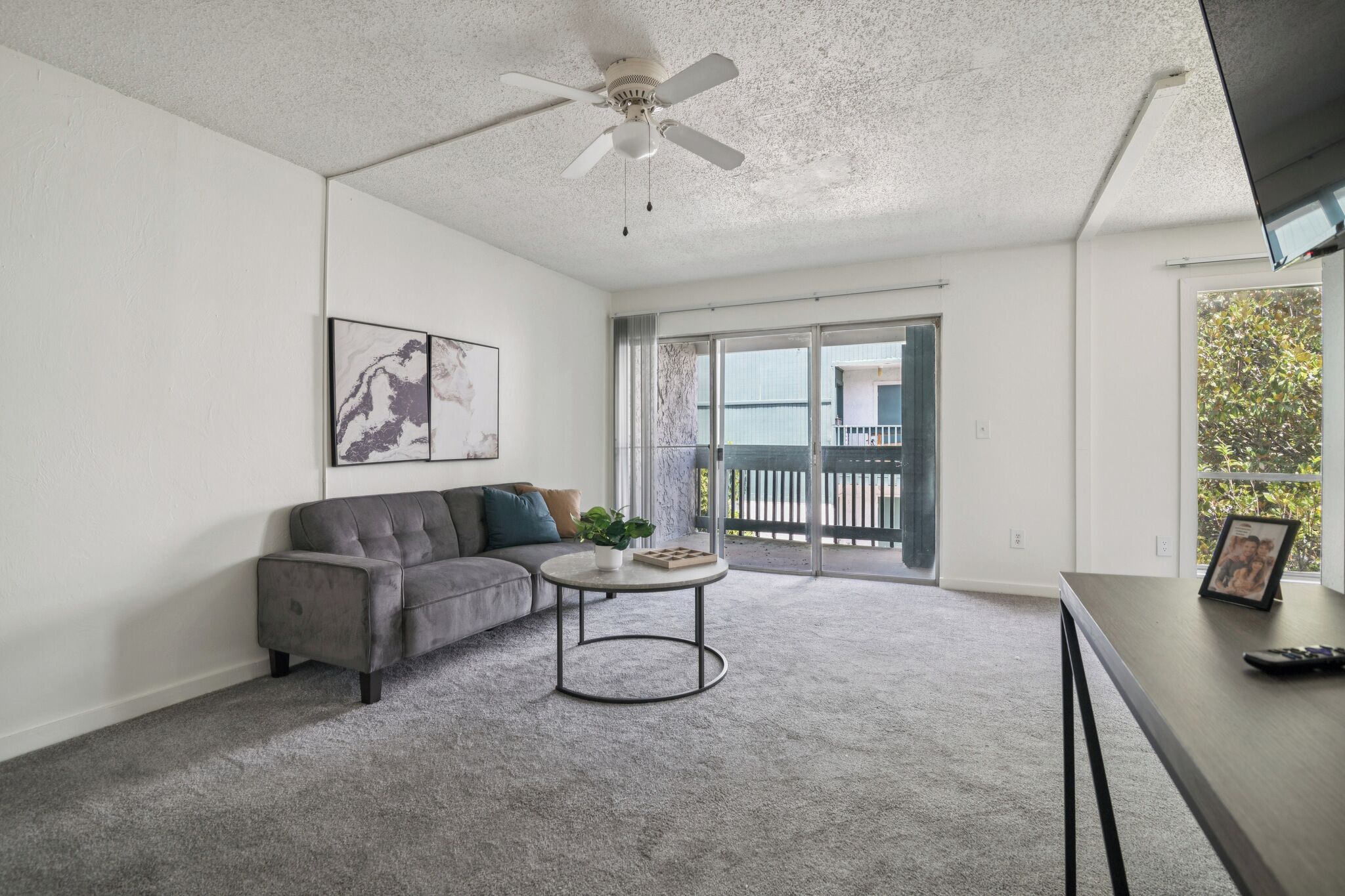 The Trails B210 I Spacious 1 Bed 1 Bath - Gainesville, FL