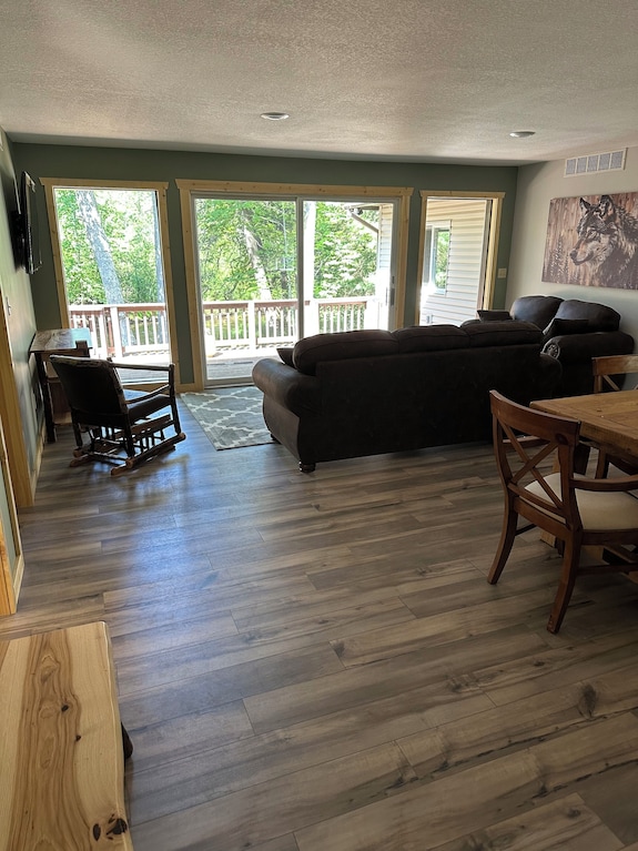 Newly Remodeled 3 Bedroom Cabin On The Beautiful Upper Ausable River - Grayling, MI