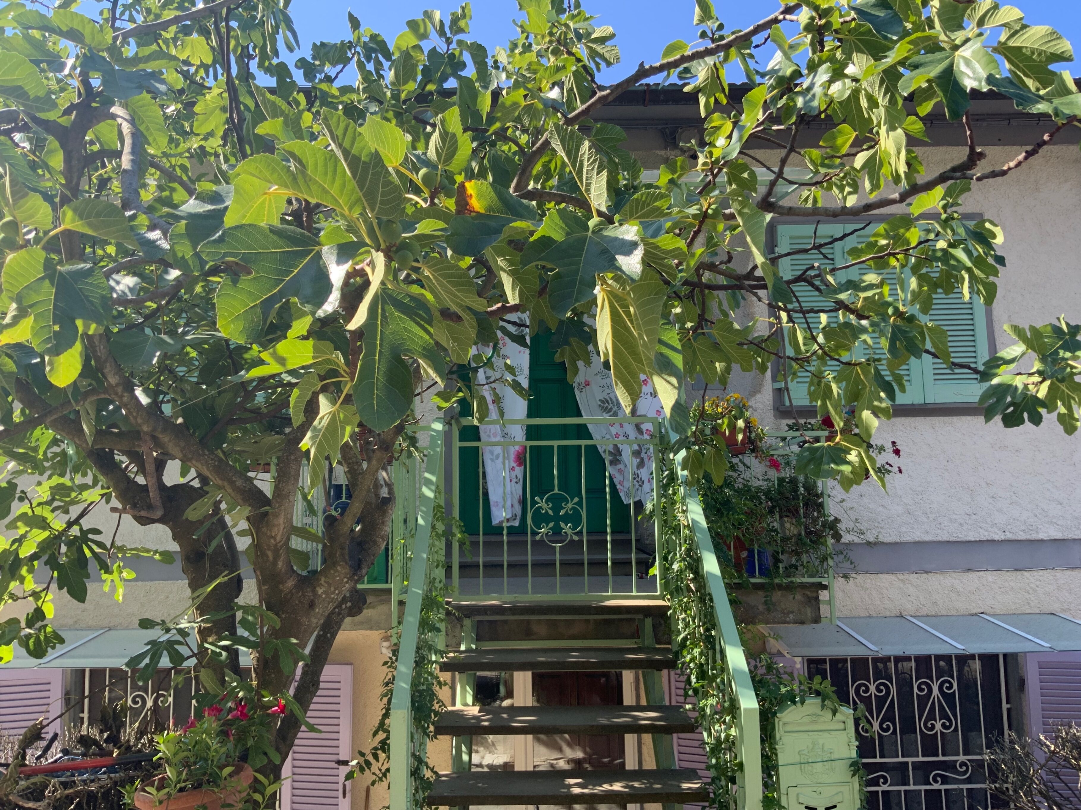 Pormenores do exterior