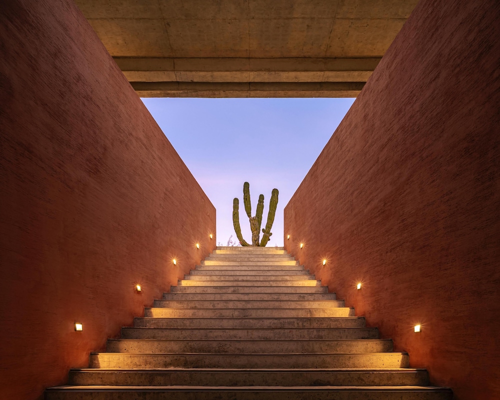 Las Arenas - 카보산루카스