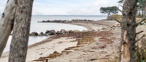 Casa | Vista para a água