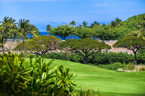 Golfe