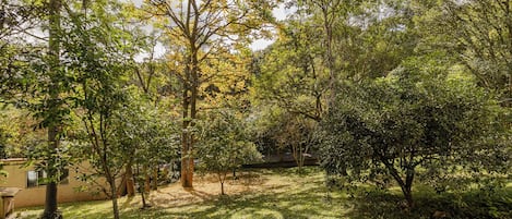 Casa, para fumantes | 4 quartos