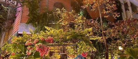 Fachada do alojamento (tarde/noite)