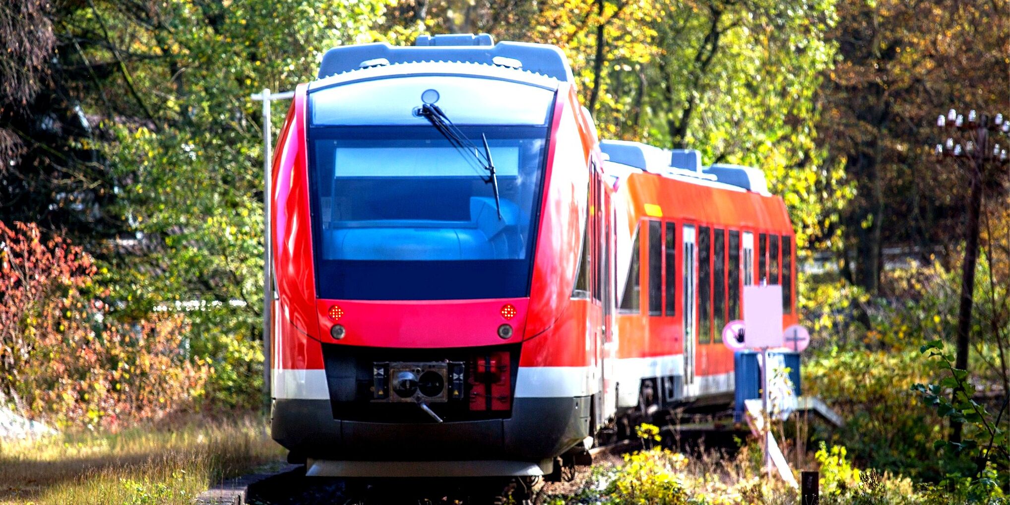 Um trem vermelho e branco em uma área arborizada.