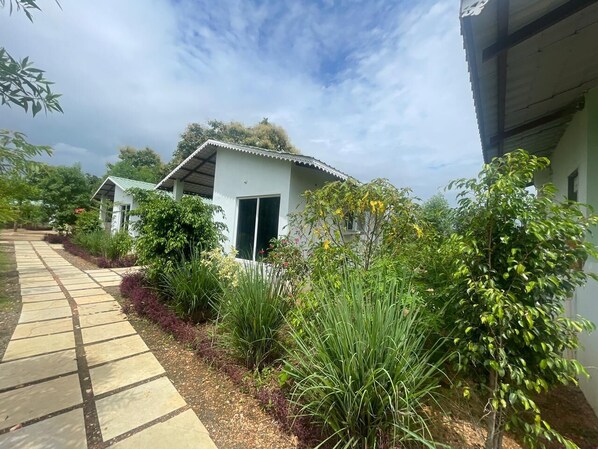 Um imóvel residencial com um caminho pavimentado que leva a uma casa com porta verde, cercada por vegetação exuberante e árvores.