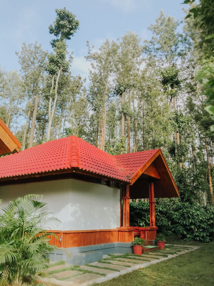 Wood Clusters - Kodagu