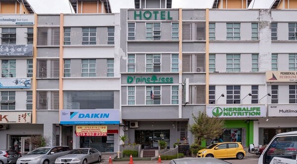 D Pine Trees - Johor Bahru