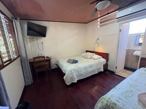 Quarto com cama, escrivaninha, televisão e área de chuveiro.
