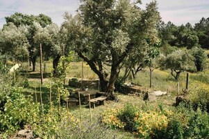 Vista para o jardim