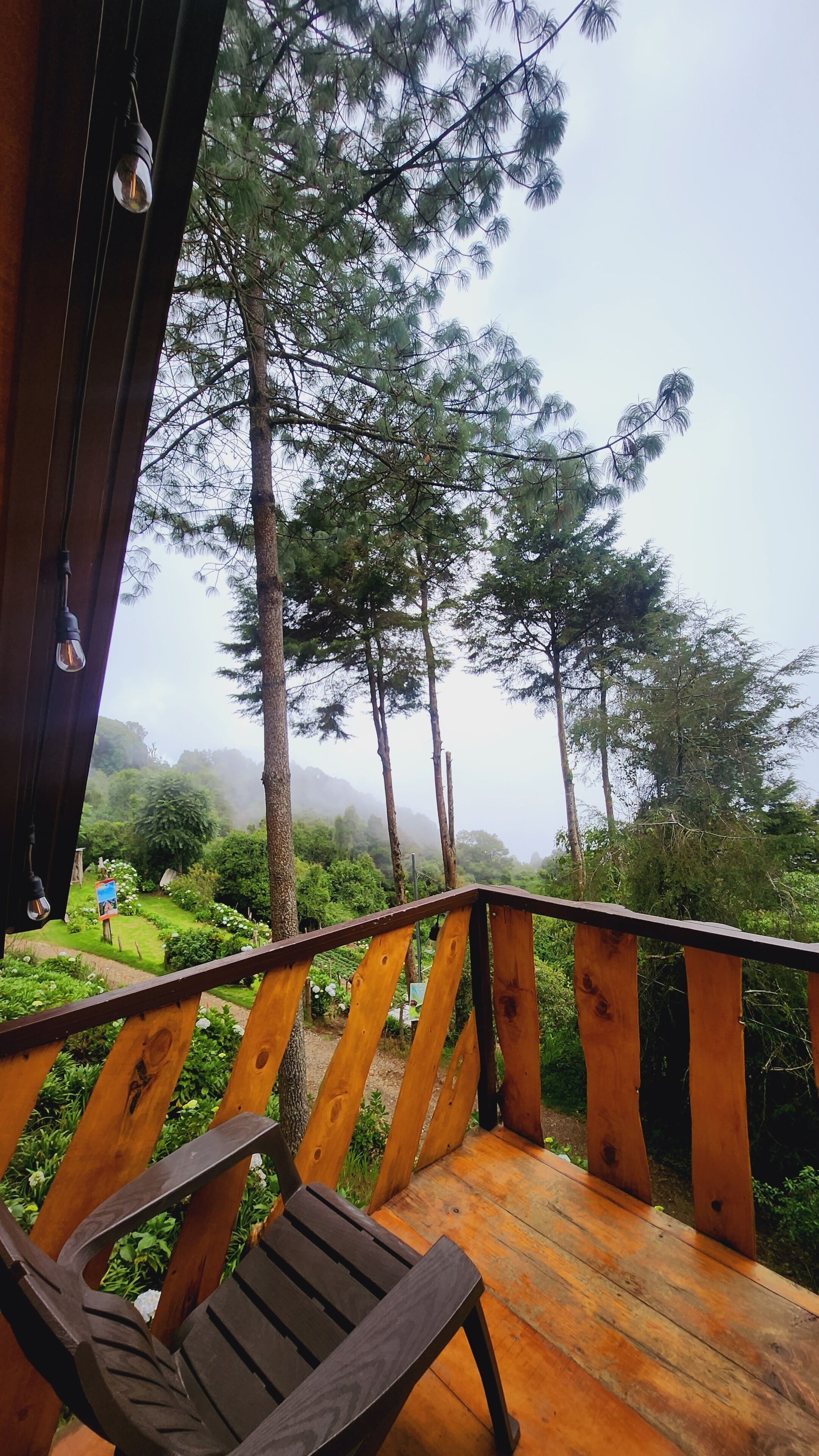 Um deck de madeira com um banco, com vista para um jardim com árvores e uma paisagem montanhosa ao longe.