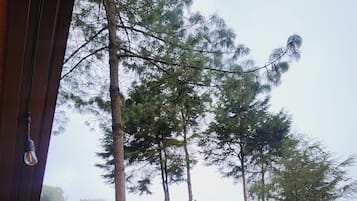 Um deck de madeira com um banco, com vista para um jardim com árvores e uma paisagem montanhosa ao longe.