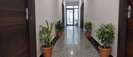 Corredor com portas de madeira escura, paredes brancas e piso de granito polido. Há plantas em vasos em ambos os lados do corredor.