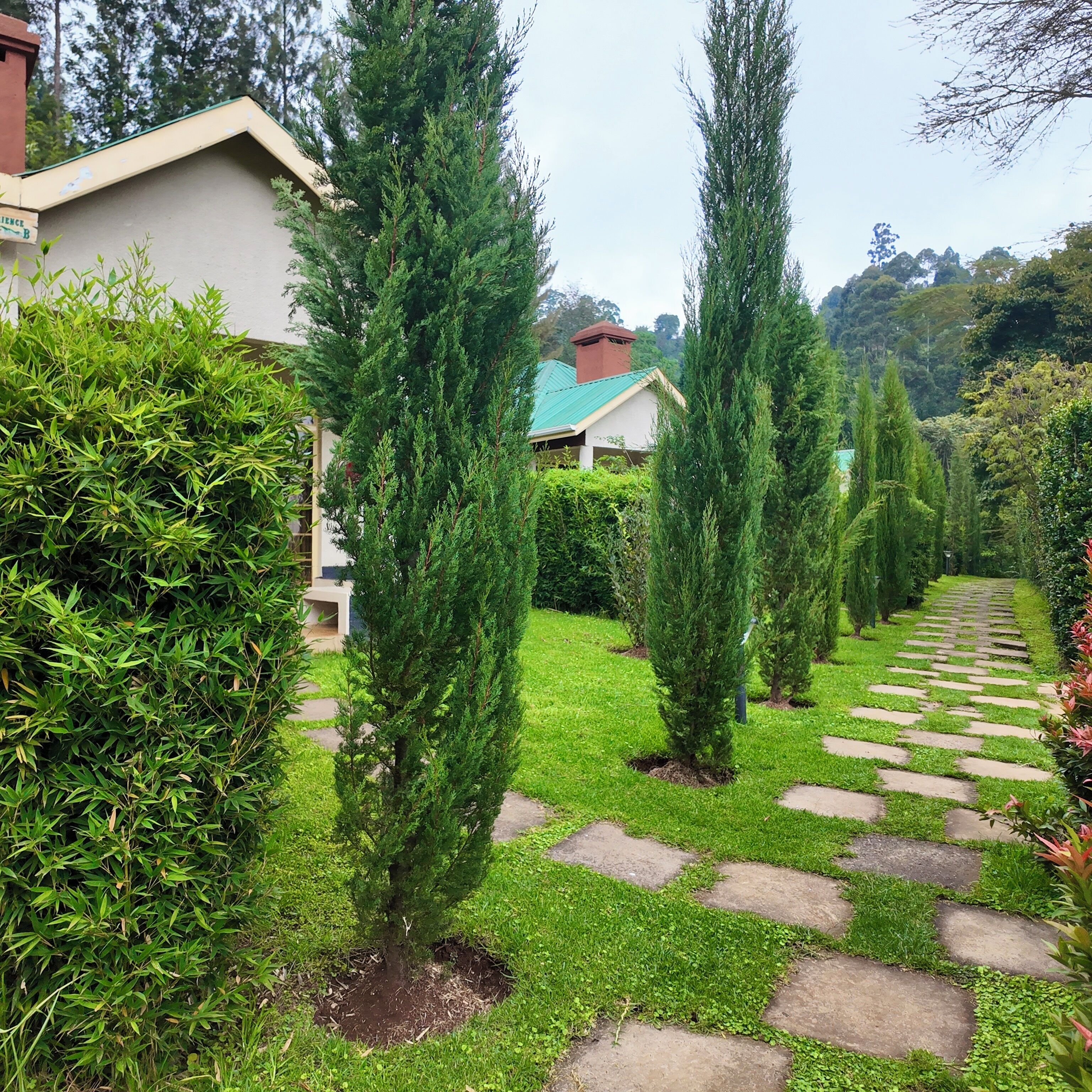 Um jardim com um caminho de pedra, sebes bem aparadas e um edifício com telhado verde.