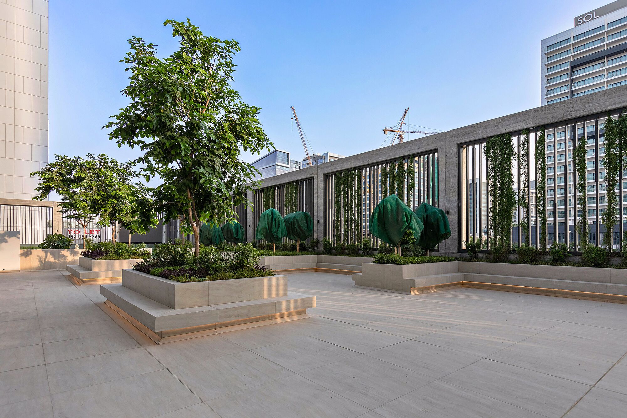 Terraço no telhado com vasos de plantas, uma árvore e um edifício moderno ao fundo.