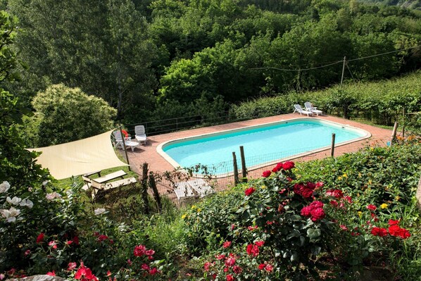Casa | Piscina | Piscina externa