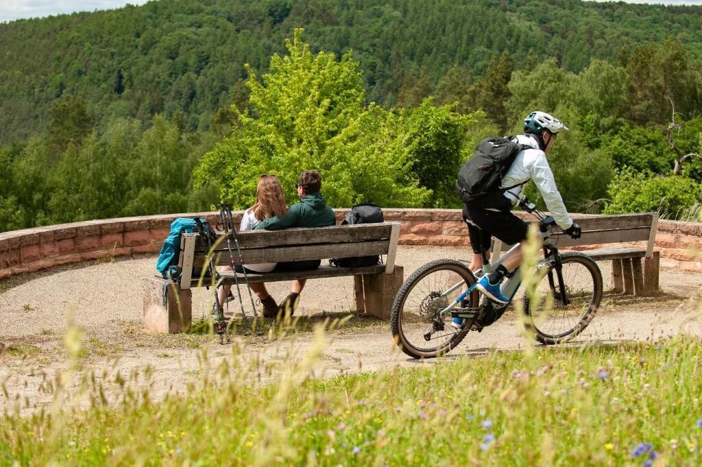 Uma pessoa andando de bicicleta em um caminho de terra, com bancos e vegetação ao fundo.