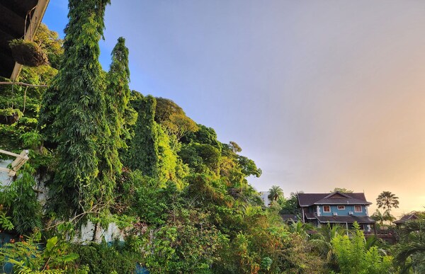 Flower Of Joy Wellness Villa - Port of Spain