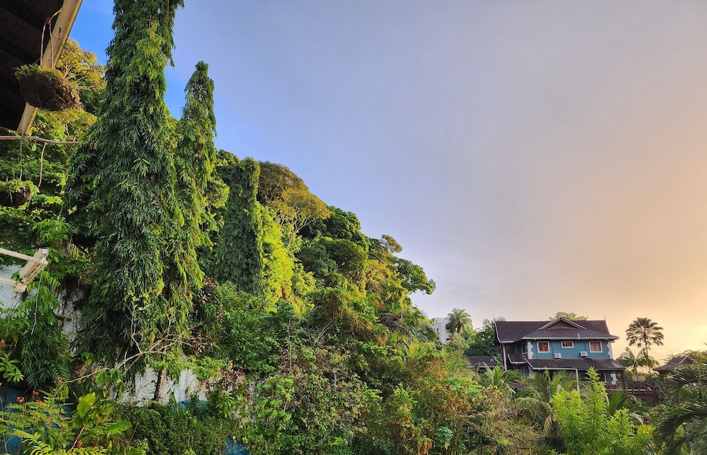 Flower Of Joy Wellness Villa - Port of Spain