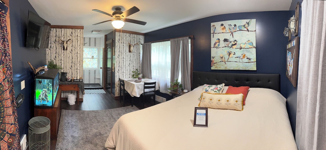 New/quiet/ Woodsy \N2 Min-490/590-city - Rochester