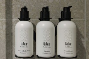 Secador de cabelo, toalhas de banho, sabonete, shampoo