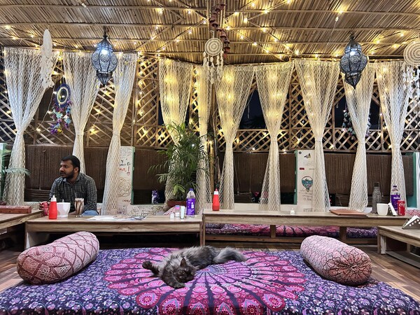 The Pink Chapter Hostel, Jaipur - Jaipur