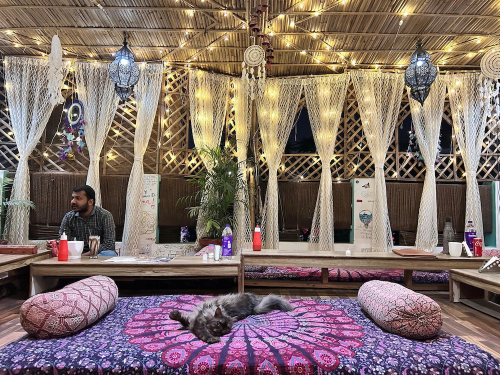 The Pink Chapter Hostel, Jaipur - Jaipur