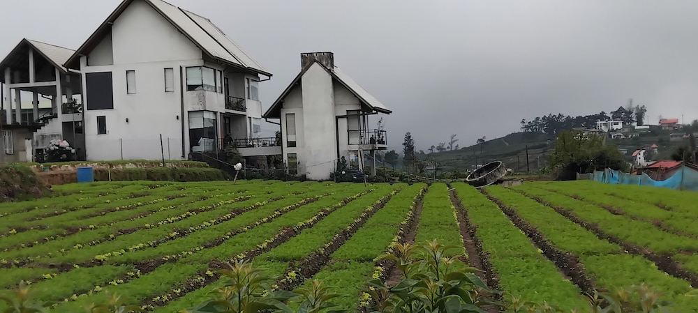 The Essence - Nuwara Eliya