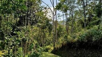 Terrenos do alojamento