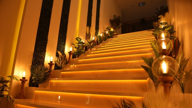Uma escadaria com degraus iluminados e plantas decorativas.