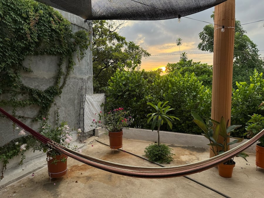 Uma rede em um terraço com plantas em vasos e vista para o pôr do sol.