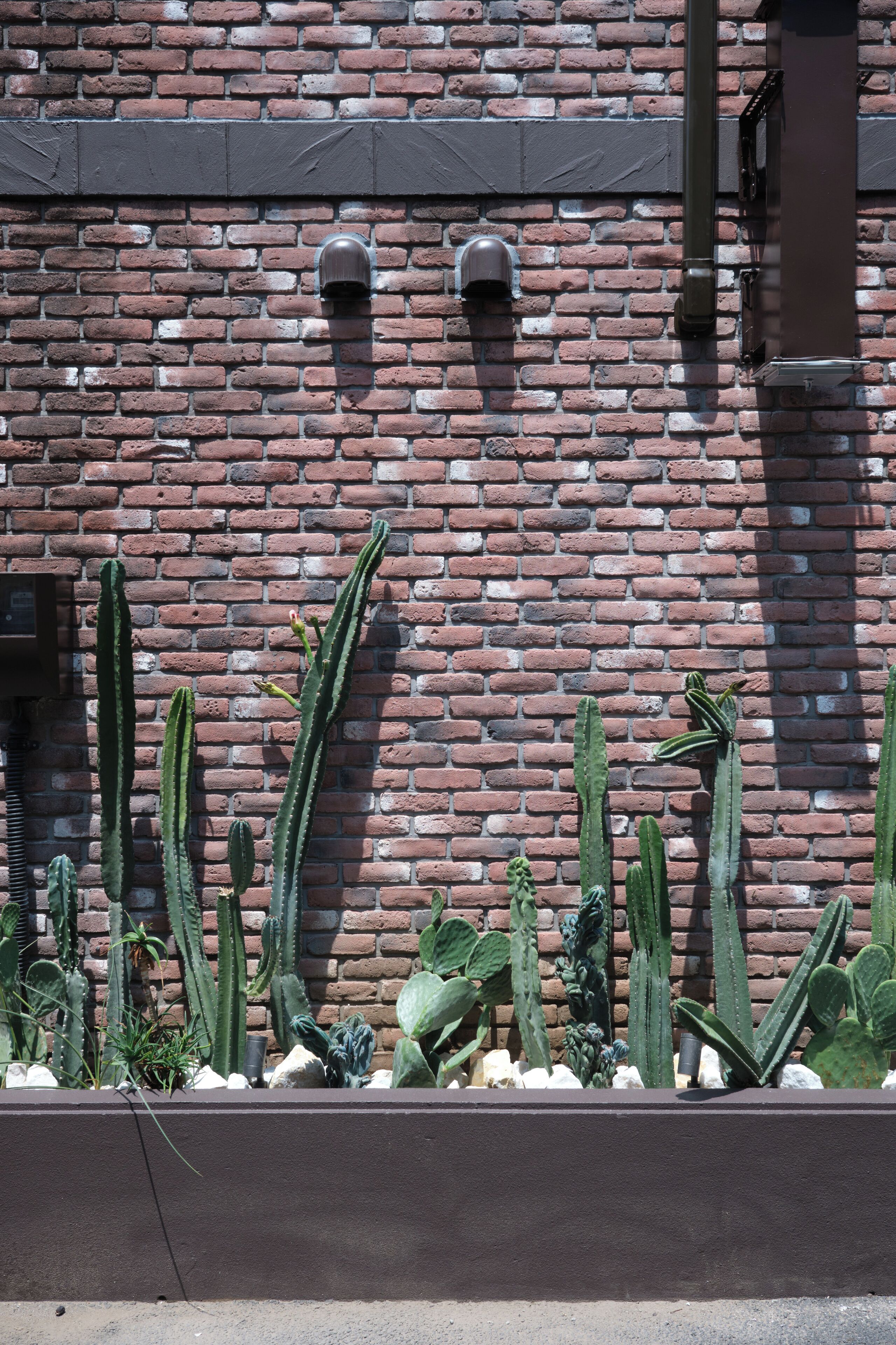 Pormenores do exterior