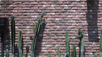 Pormenores do exterior